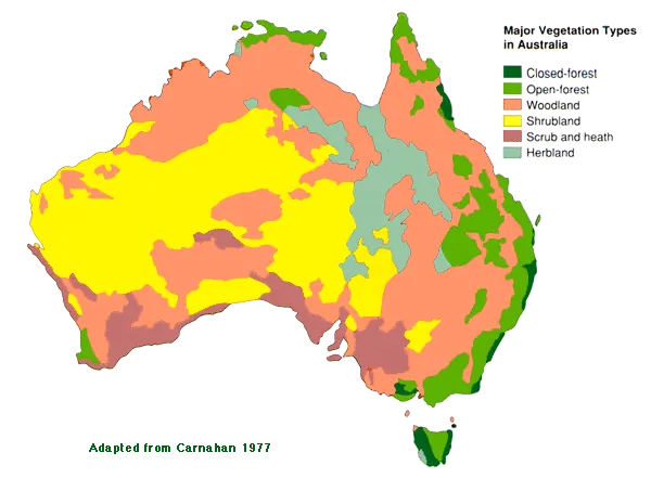 A Simplified Look at Australia's Vegetation | Soar